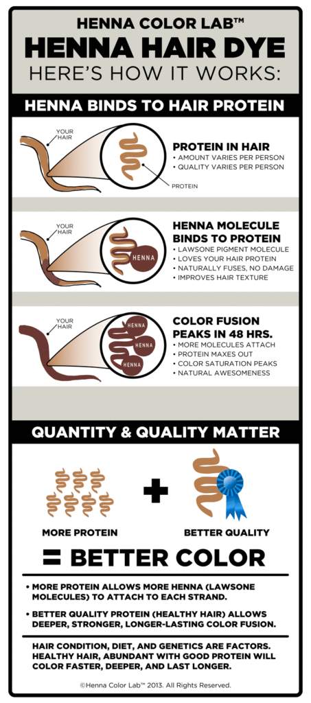 HCL™_how-henna-works_infographic | Henna Color Lab® - Henna Hair Dye